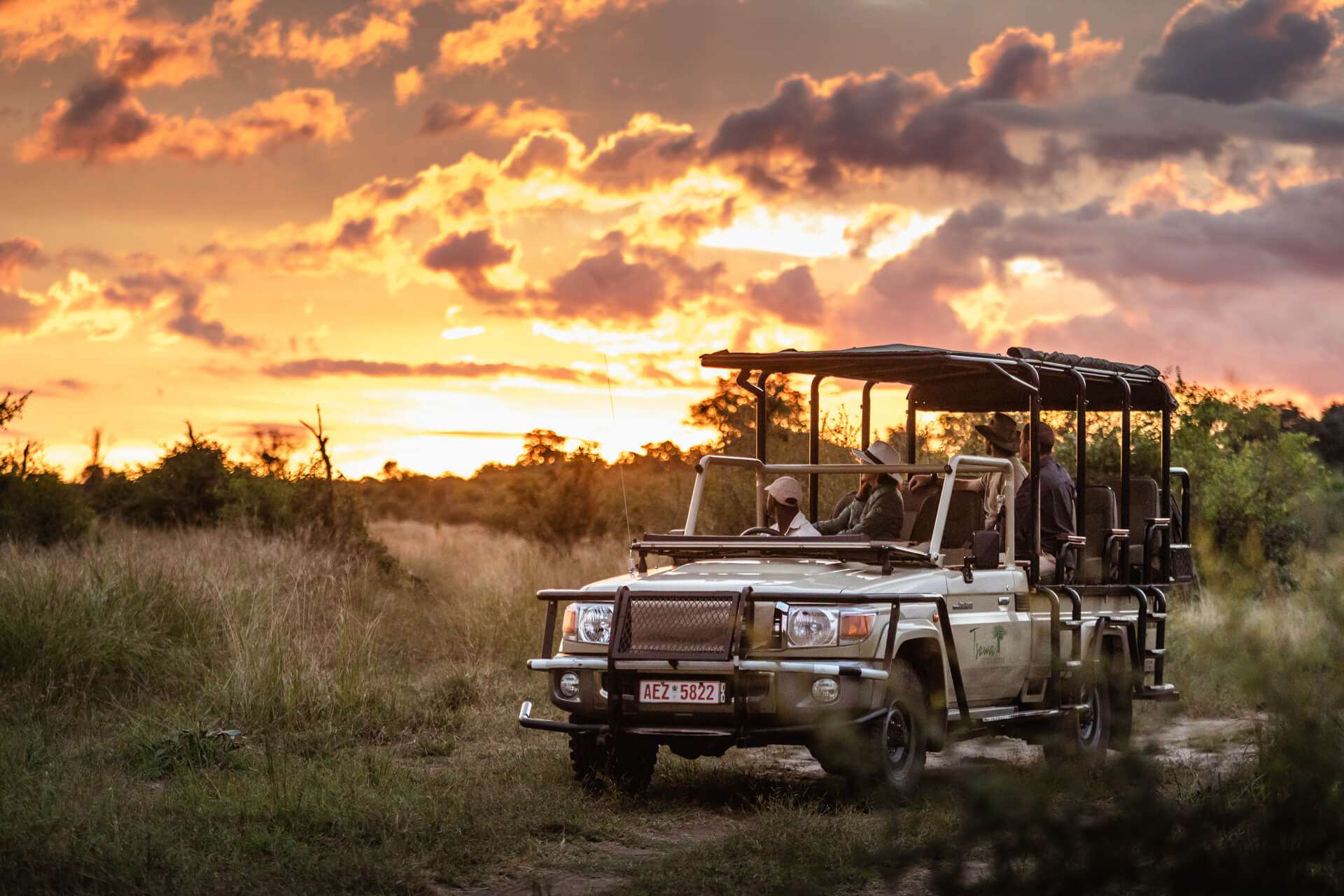 Our Top Tips For Zimbabwe Safaris in 2025 - Tsowa Safari Island