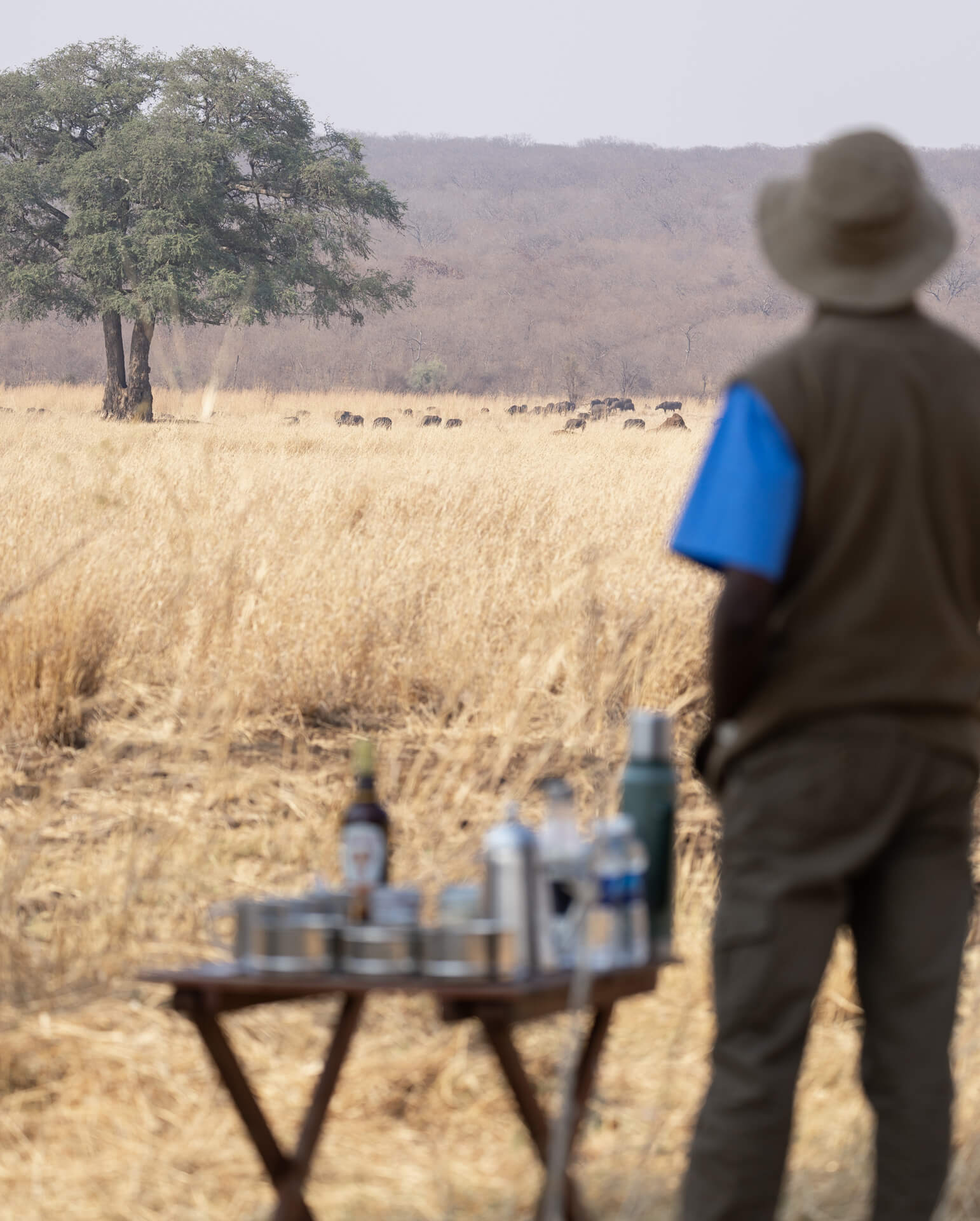 Our Top Tips For Zimbabwe Safaris in 2025 - Tsowa Safari Island